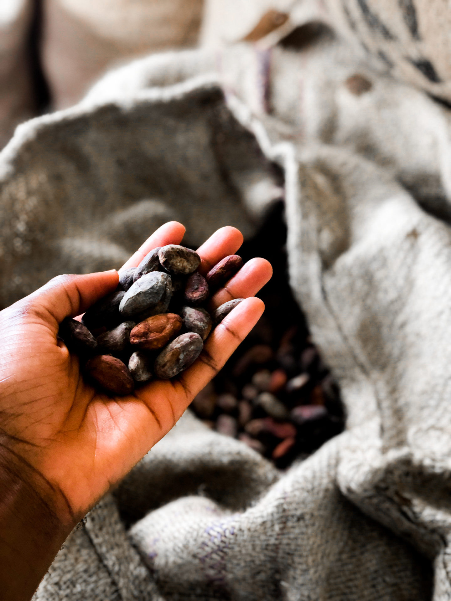 WHERE/WHAT TO EAT IN GRENADA TRAVEL GUIDE | LIFEONABANJO